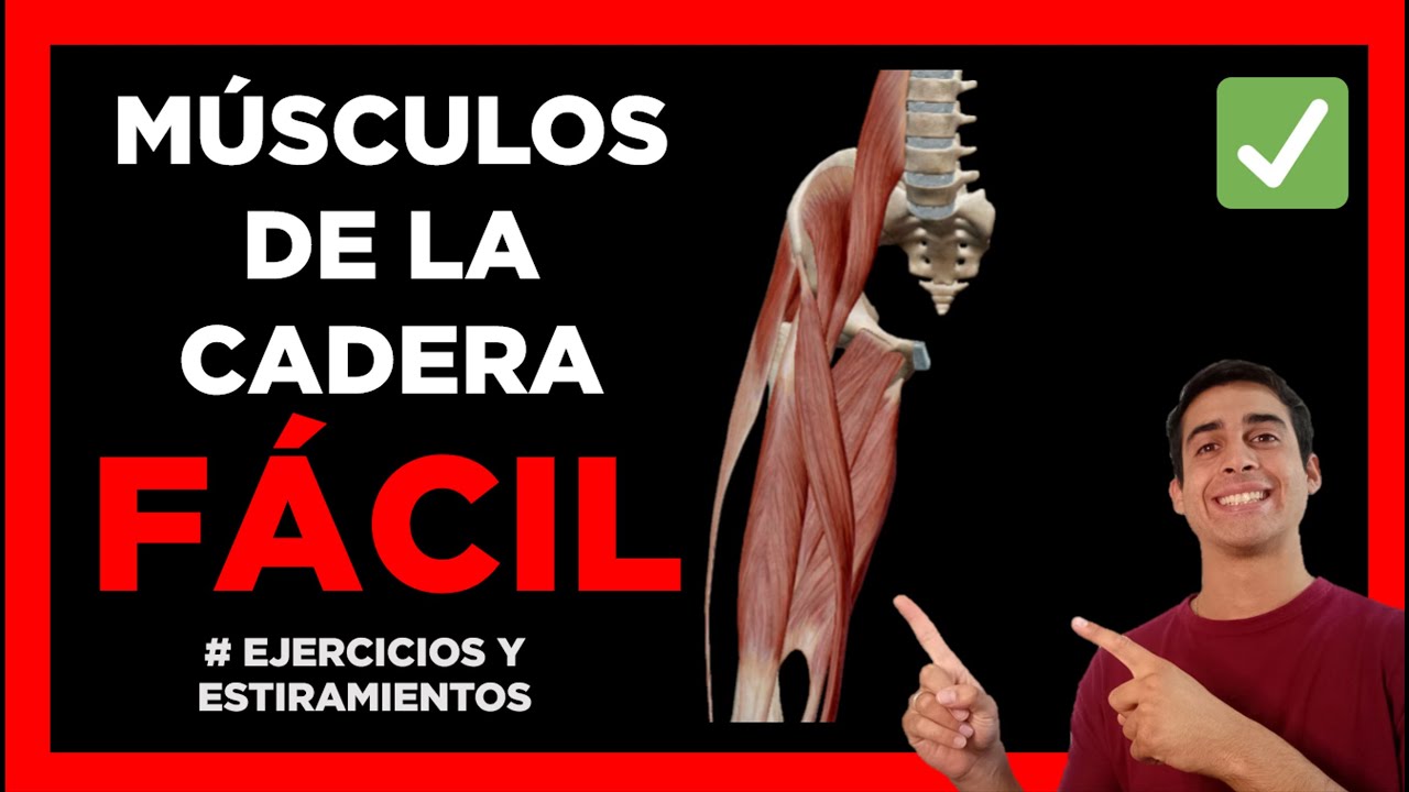 ✅ HIP FLEXOR AND EXTENSOR MUSCLES (EASY TO LEARN)
