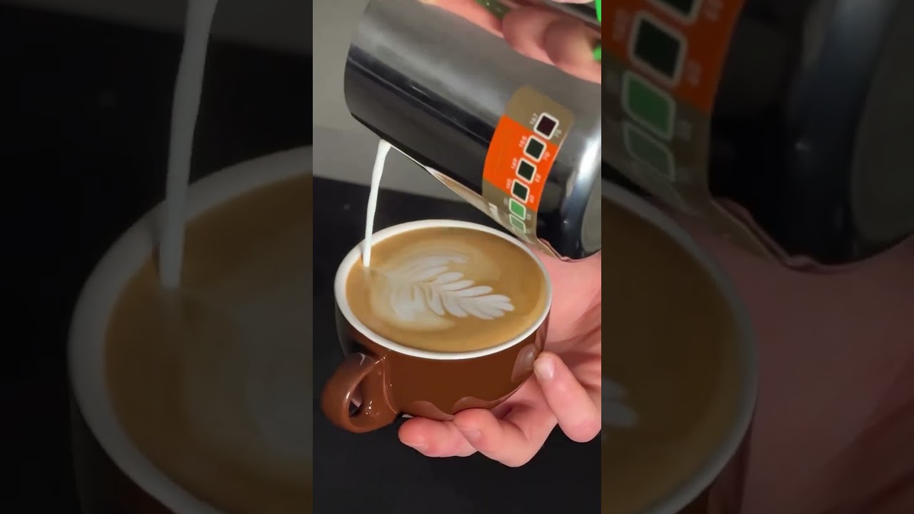 Carbon Neutral Coffee Beans ☕️