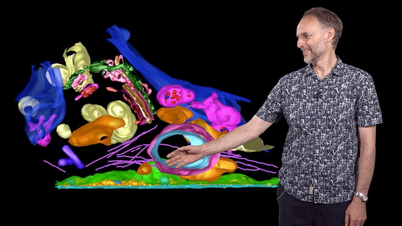 Michael Dustin (Oxford, NYU School of Medicine) 3: The Immunological Synapse: Extracellular Vesicles