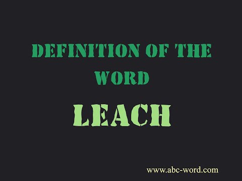Definition of the word "Leach"