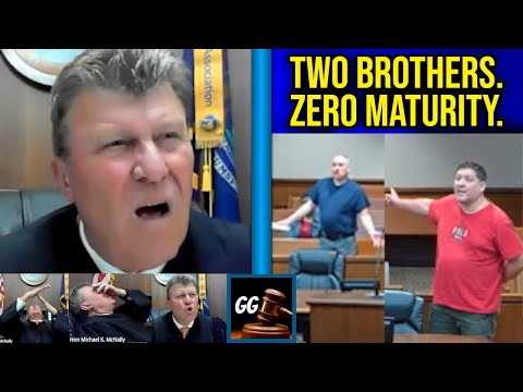 Petty, Bickering 50-Year-Old Brothers Drive Judge Up the Wall