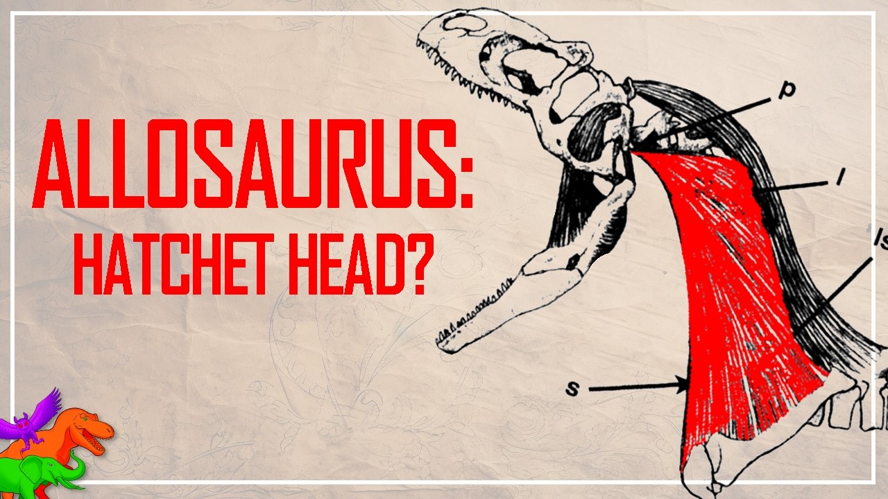Did Allosaurus Use Its Head Like A Hatchet? | INSANE Paleontology 