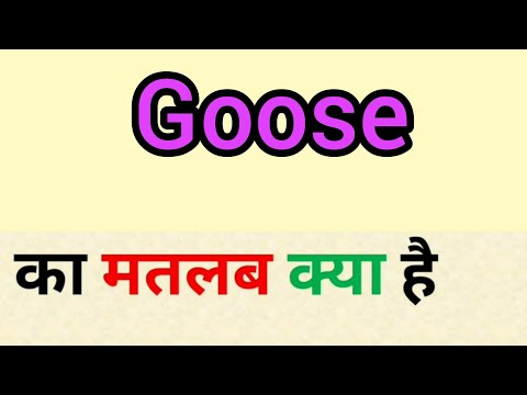 Goose meaning in hindi || goose ka matlab kya hota hai || word meaning english to hindi