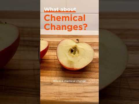 Apple Experiment: Physical vs. Chemical Changes ????