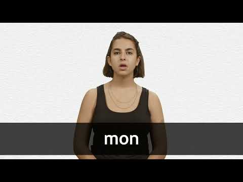 English Translation of “MON” | Collins French-English Dictionary