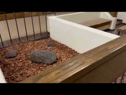 Tour of the Mesabi Mall - Hibbing, Minnesota