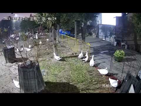 recaptcha v2 checkbot test