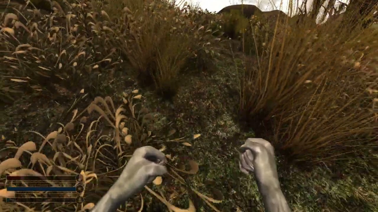 Morrowind (OpenMW) | Dash