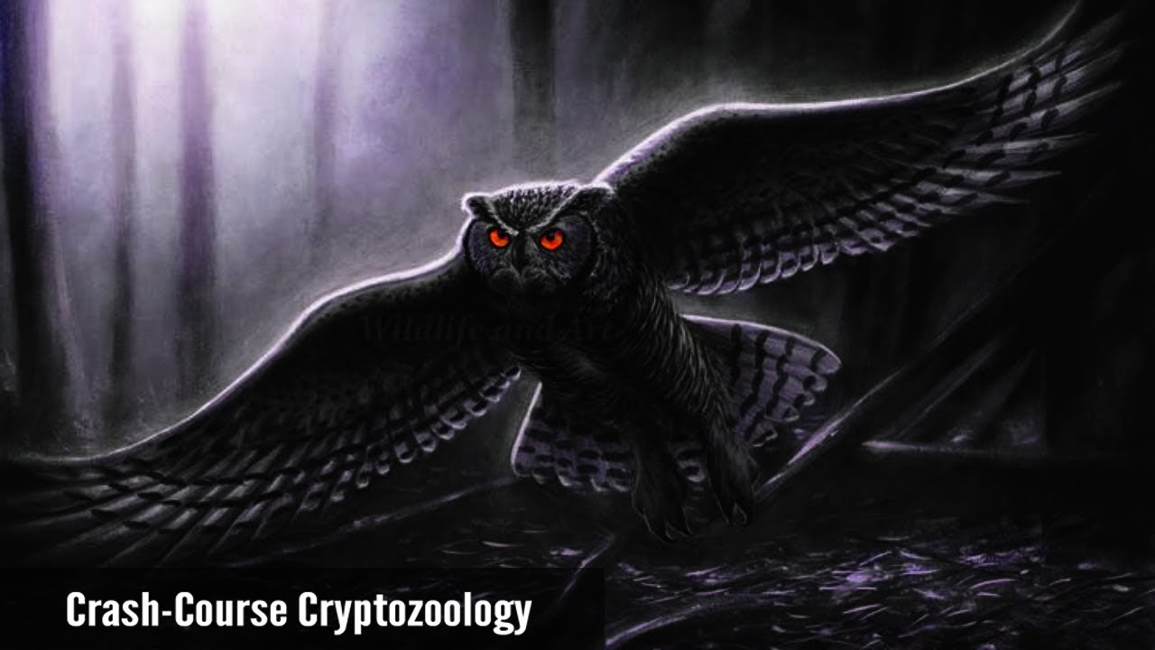 The Owlman In Speculative Biology