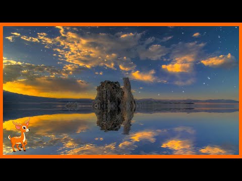 Calm and Peace - 3 Hours of Soothing Relaxation Music for Sleep, Work, Study, Spa or Meditate