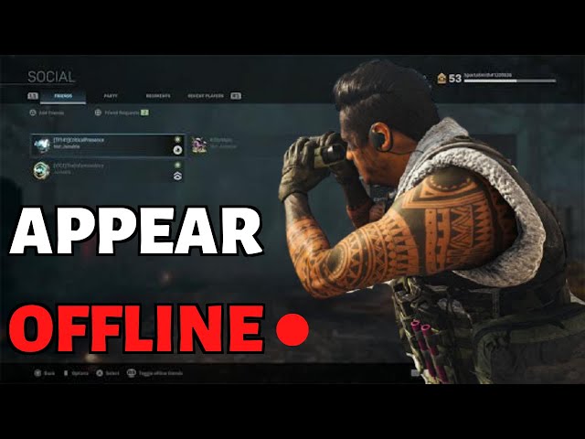 How to appear offline in Call of Duty Warzone
