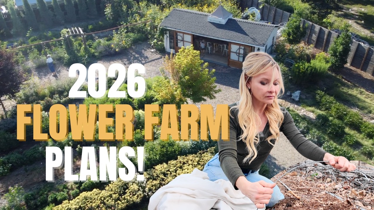 What I'm changing on the flower farm this year!