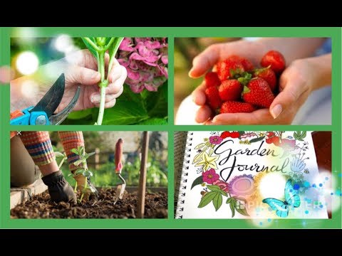 MONTH OF MAY GARDEN ADVISORY - What To Do In The Garden This Month