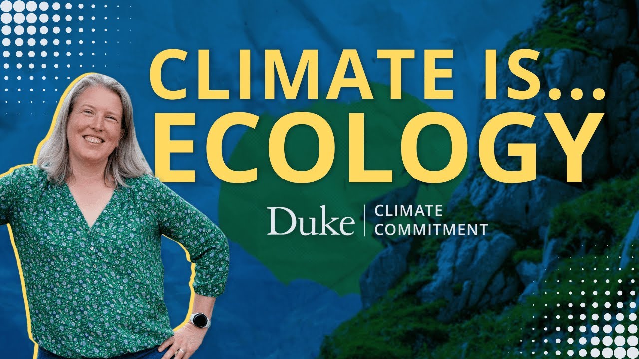 Can Ecology Guide Smarter Climate Solutions?