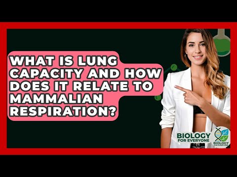 What Is Lung Capacity And How Does It Relate To Mammalian Respiration? - Biology For Everyone