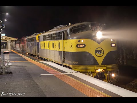 SSR's 9096 Mitiamo grain at Eaglehawk & Kangaroo Flat- 6th & 7th June 2023
