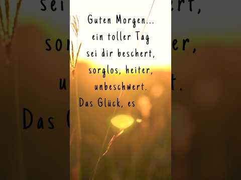 Guten Morgen Grüße 9 - Einen tollen Tag für dich... als Gedicht #poetryshort