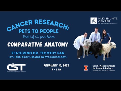 Cancer Research – Pets to People: Comparative Anatomy