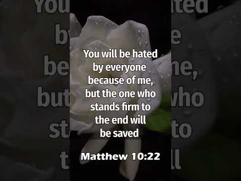 Why You'll Be Hated: Insightful Commentary on Matthew 10:22 #bibleverseshorts