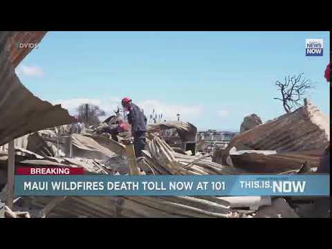 Maui Wildfire Update