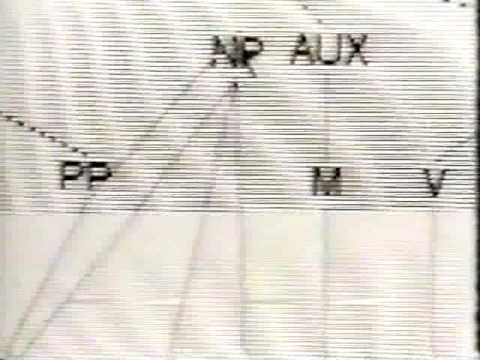 A trove of videos from 70s, 80s, 90s with Alan Kay, PARC, Smalltalk ...