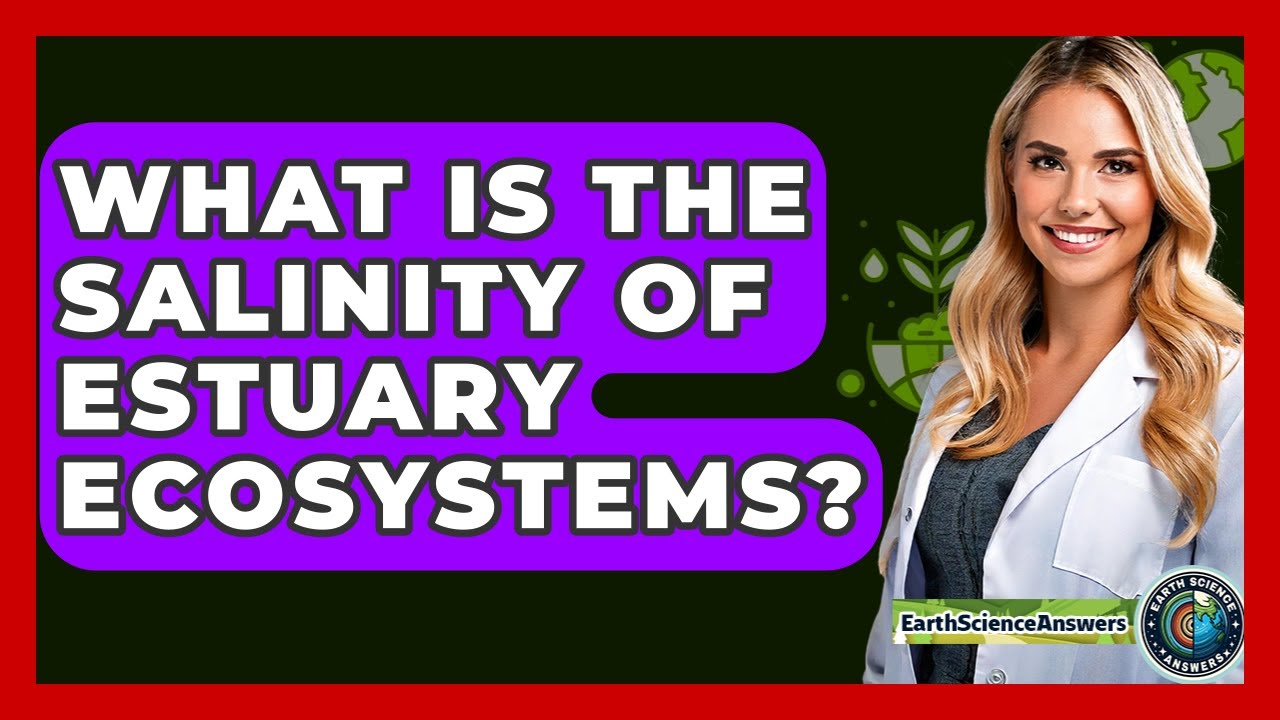 What Is The Salinity Of Estuary Ecosystems? - Earth Science Answers
