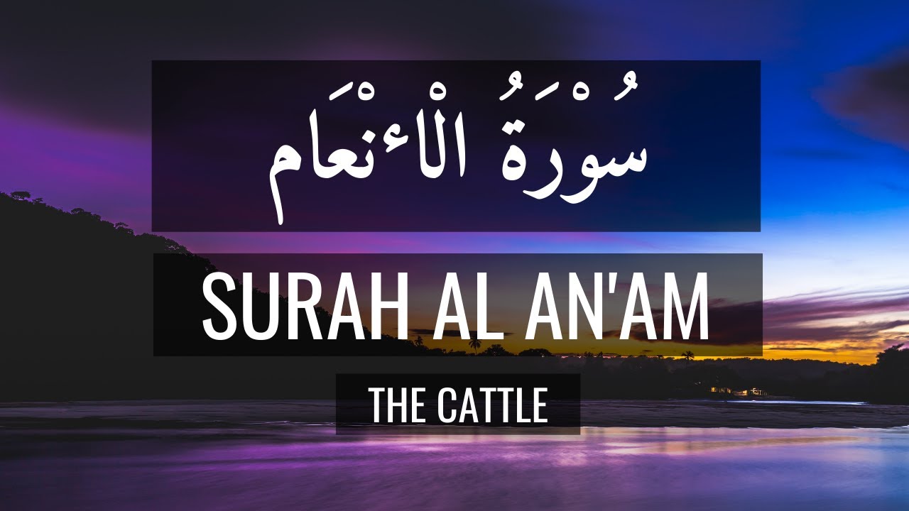 Surah Al Anam English Translation Mishary Rashid
