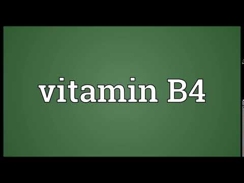 Vitamin B4 Meaning | Wordogram