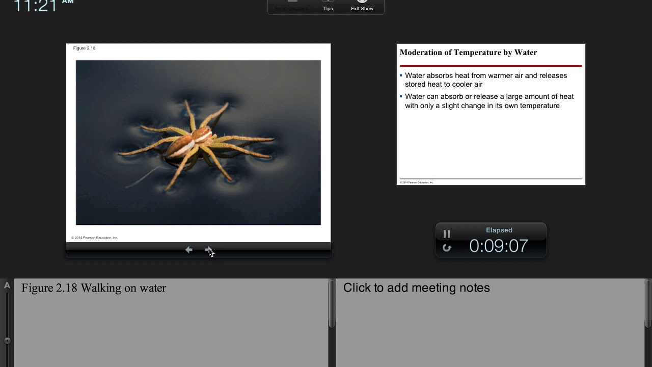 Chapter 2 Review PPT