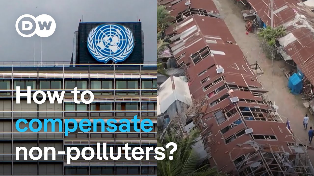 Climate talks focus on developing countries ahead of UN summit | DW News