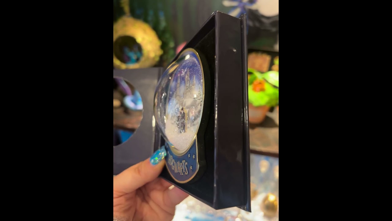 New Harry Potter Interactive Pin Seeking Pin