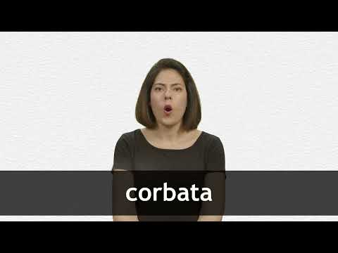 English Translation of “CORBATA” | Collins Spanish-English Dictionary
