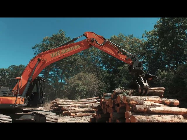 FEEL FREE TO CONTACT US - New England Tree Masters