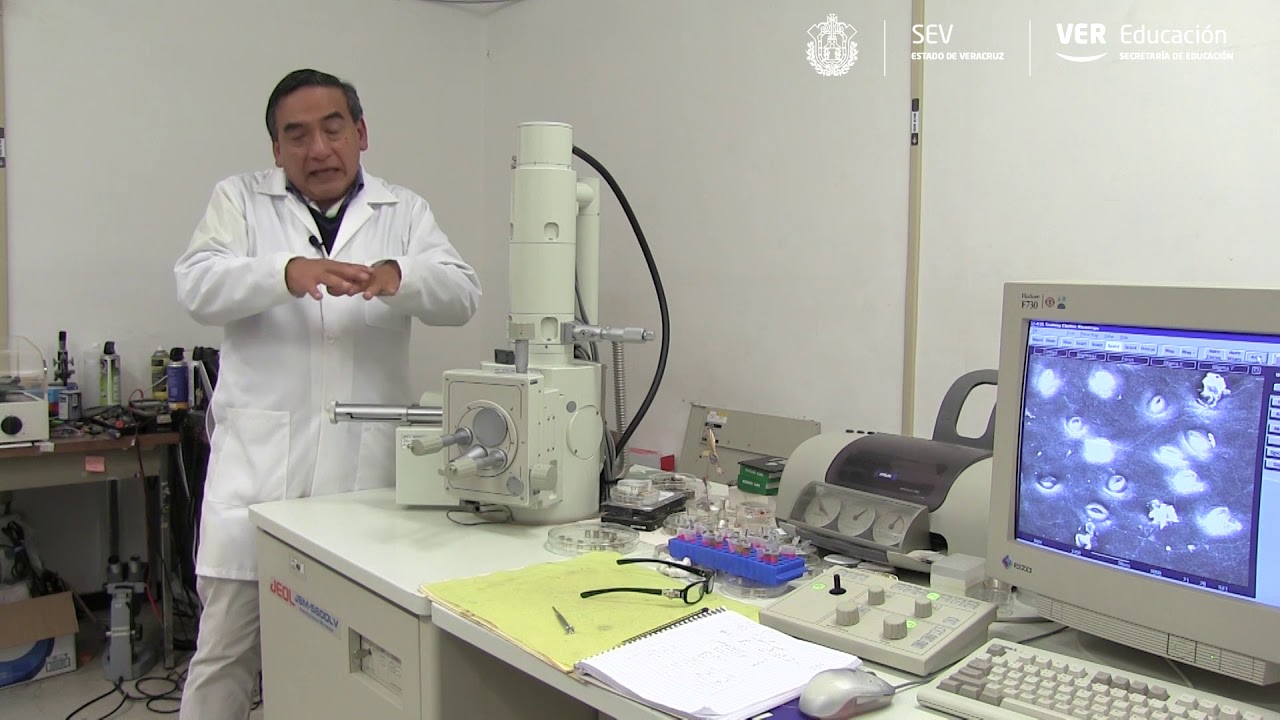 Microscopio electrónico de barrido - Dirección de Educación Normal