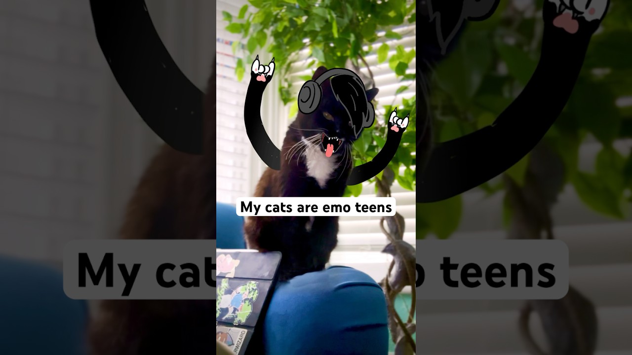 finally know how me Mum felt ;/ #emo #cats #teens #animation #comedy #shorts #cartoon #millennials