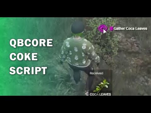 Messy Scripts | Coke Gathering/Processing Script for QBCore