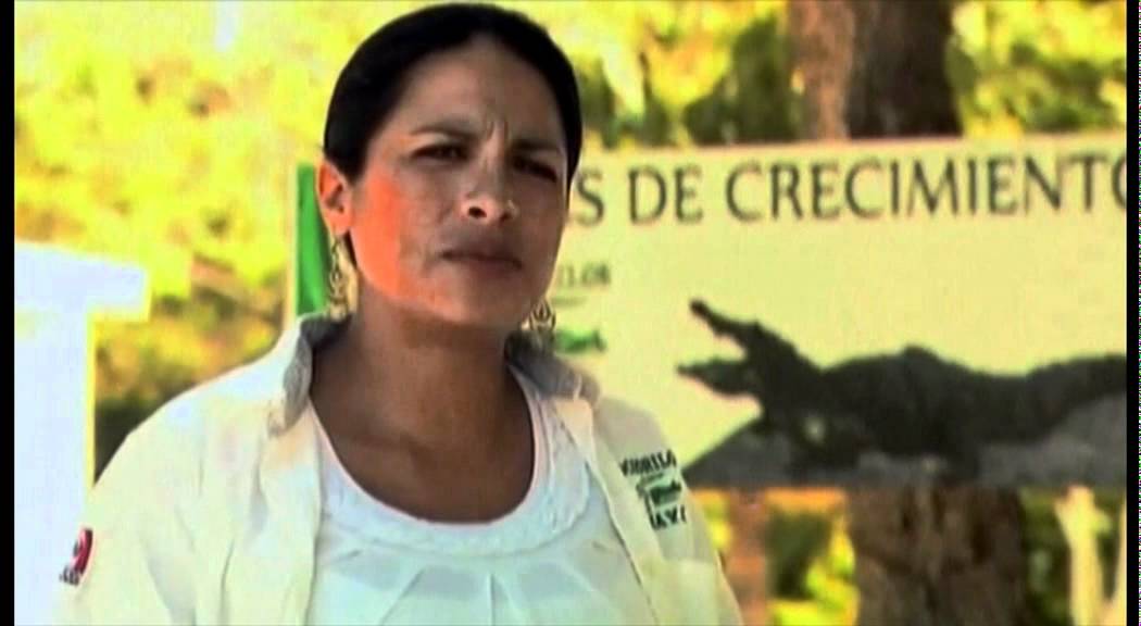 Commercialising crocodile conservation