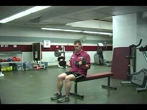 Biceps | Nate Physique Online Trainer