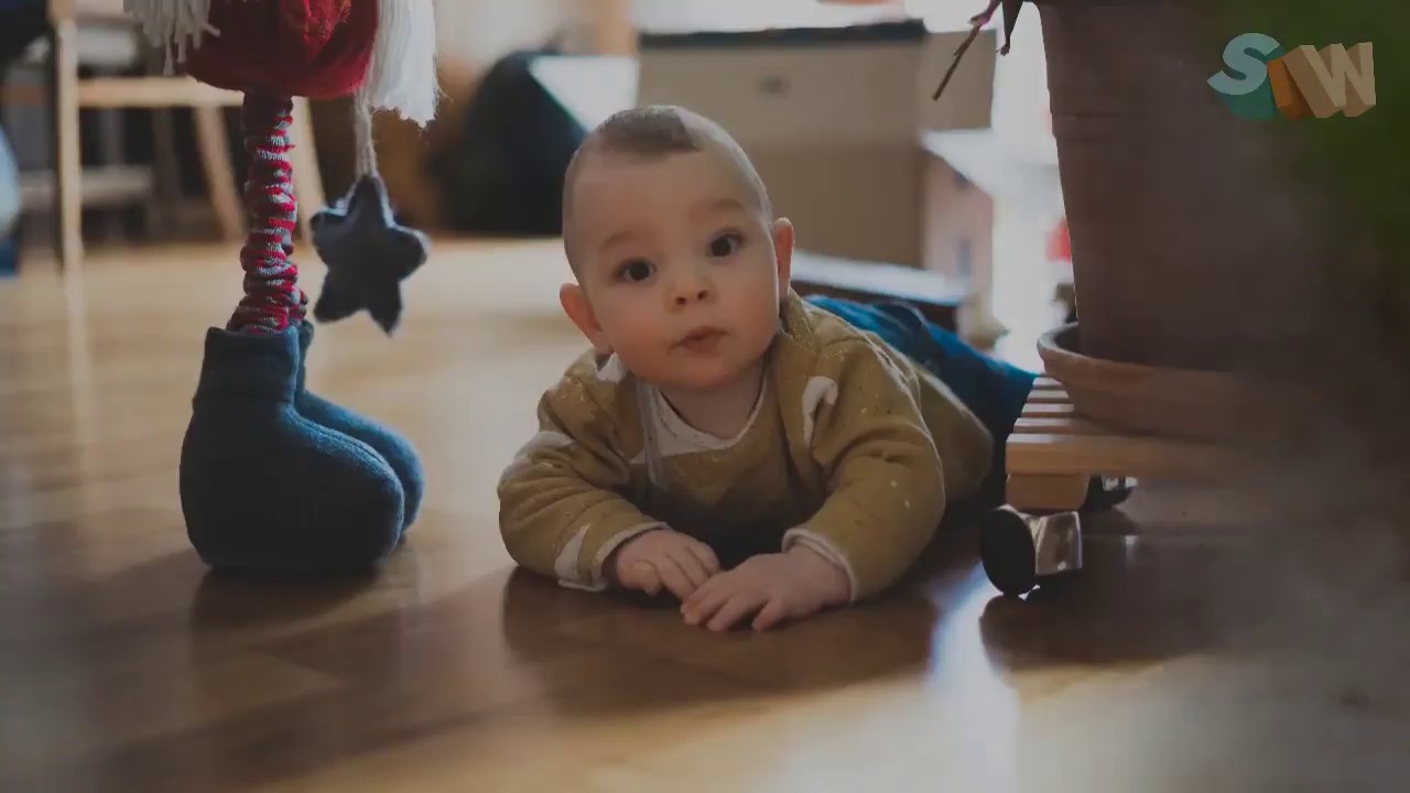 Understand and Support Your Toddler