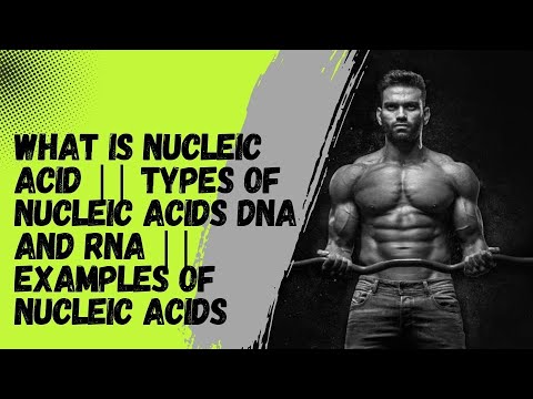 What is Nucleic Acid || Types of Nucleic Acids DNA And RNA || Examples Of Nucleic Acids
