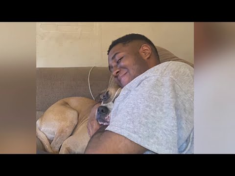Pepco releases details after dogs electrocuted in Northwest DC | NBC4 Washington