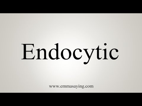 How To Say Endocytic