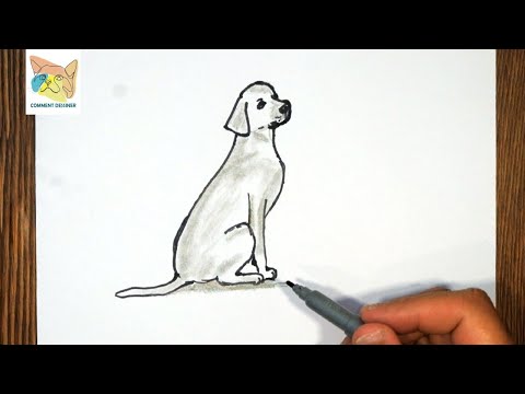 Comment dessiner un chien assis de profil