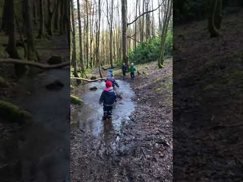 The definition of a puddle : a small body of water that attracts ...