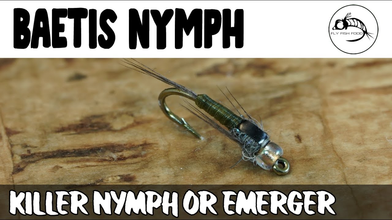 Fly Tying Tutorial: Standard Baetis Nymph