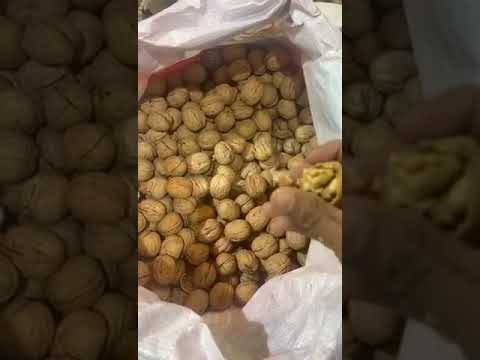 Walnut - Wholesale Price & Mandi Rate for Akhrot in India