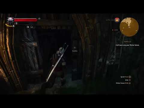 Witcher 3 ps5 pro
