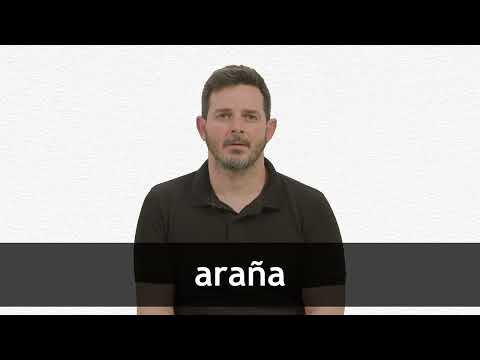 How to pronounce ARAÑA in European Spanish