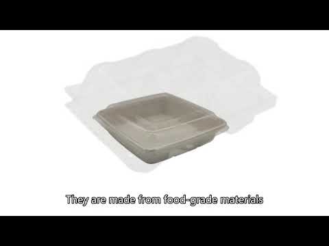 plastic food container,biodegradable plastic container,bagasse tableware,Price,China Supplier