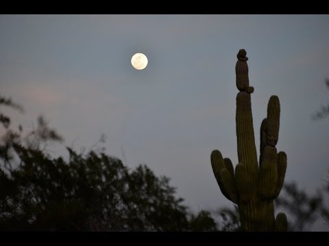 Desert Moon | The Planetary Society